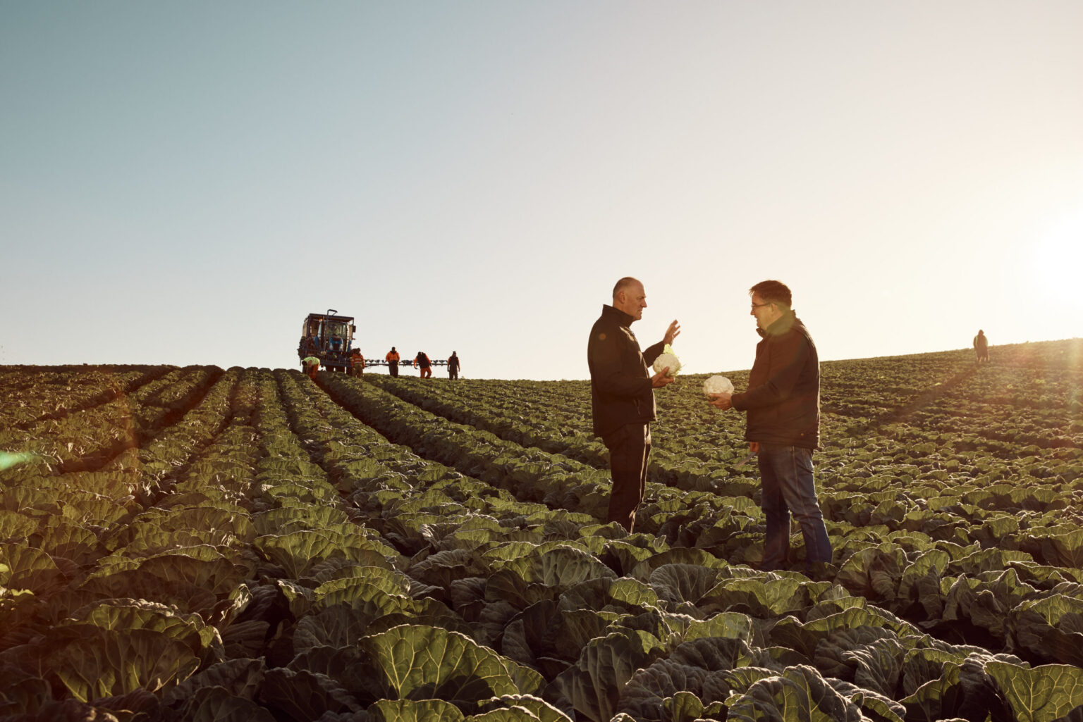 Primary Connect+ Support - Primary Connect